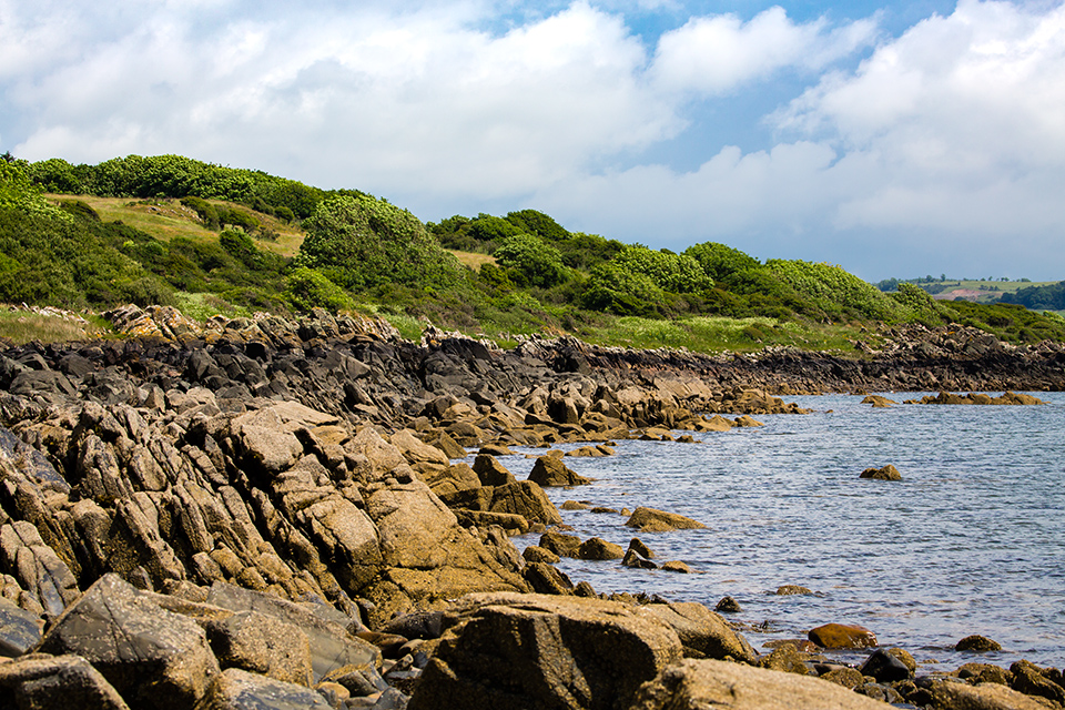 Explore. - Ross Bay Retreat