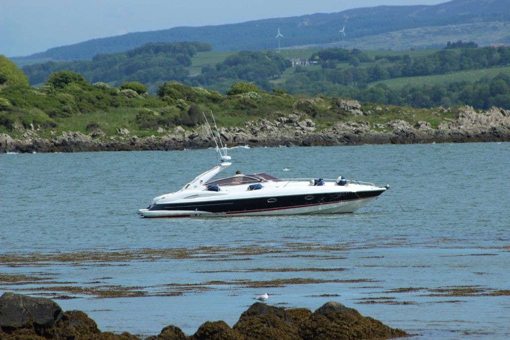 Visitors. - Ross Bay Retreat