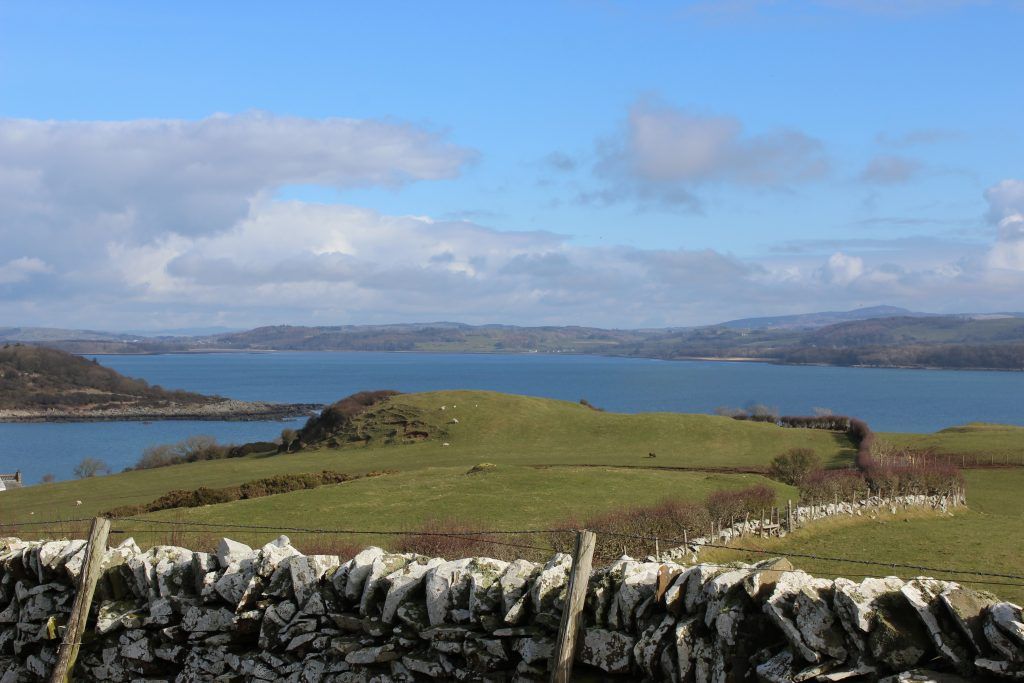 What's happening locally......we have been too busy to know! - Ross Bay ...