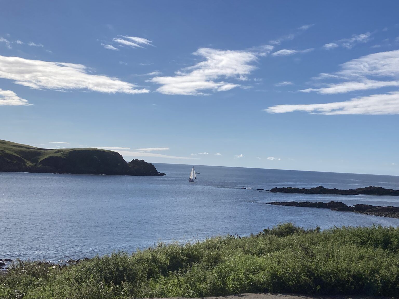 IMG_1037 - Ross Bay Retreat