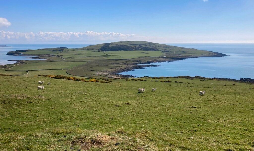 Spring into Summer - Ross Bay Retreat