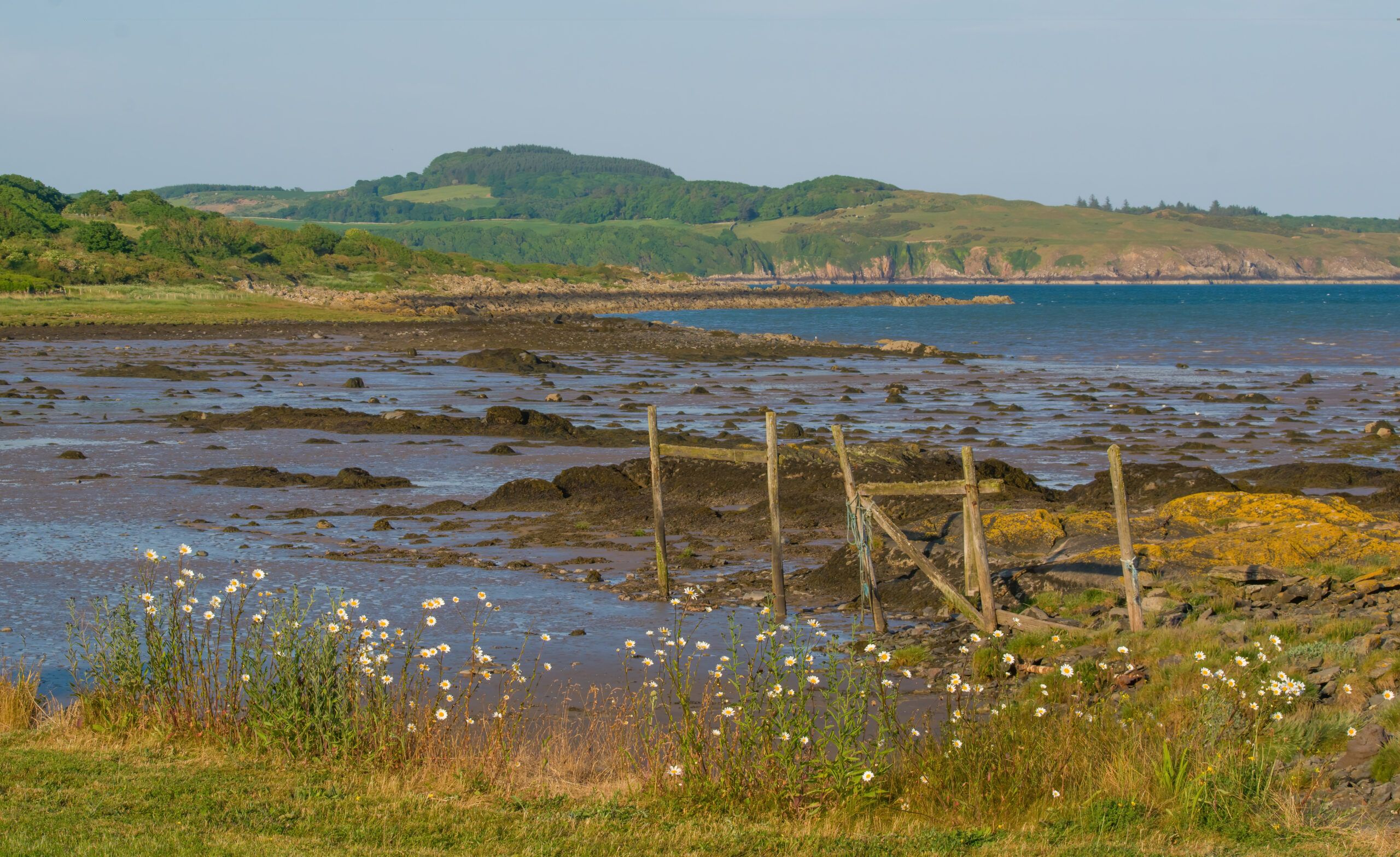 ross bayCOOP8616 - Ross Bay Retreat