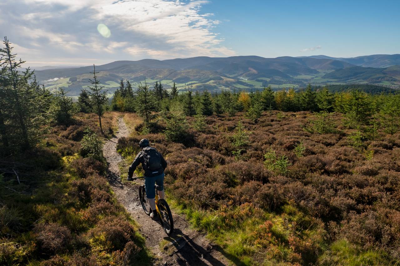 Cycling Trails Around Kirkcudbright & Galloway Forest Park