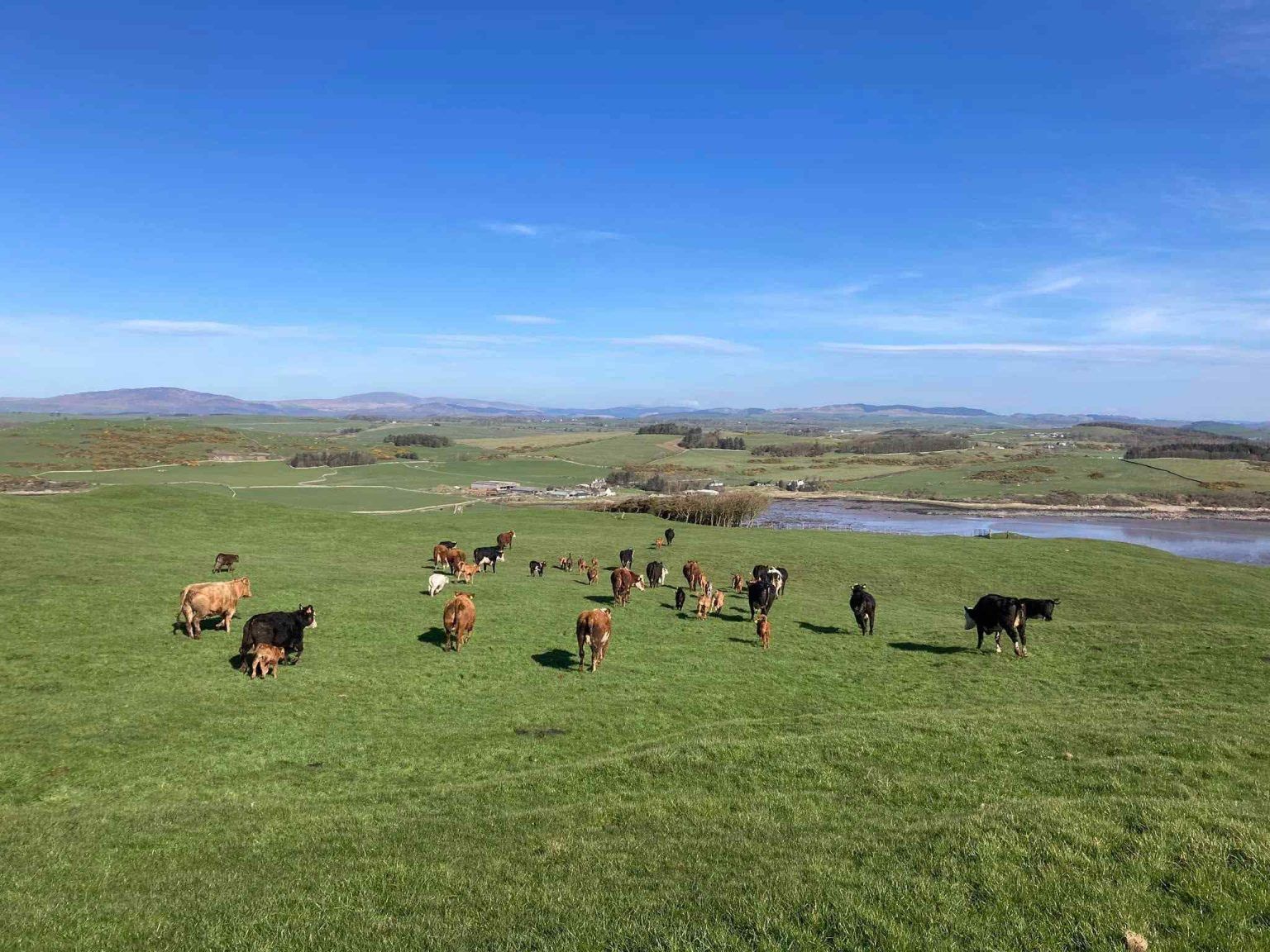 Farmland & Bay at Ross Farm - Ross Bay Retreat