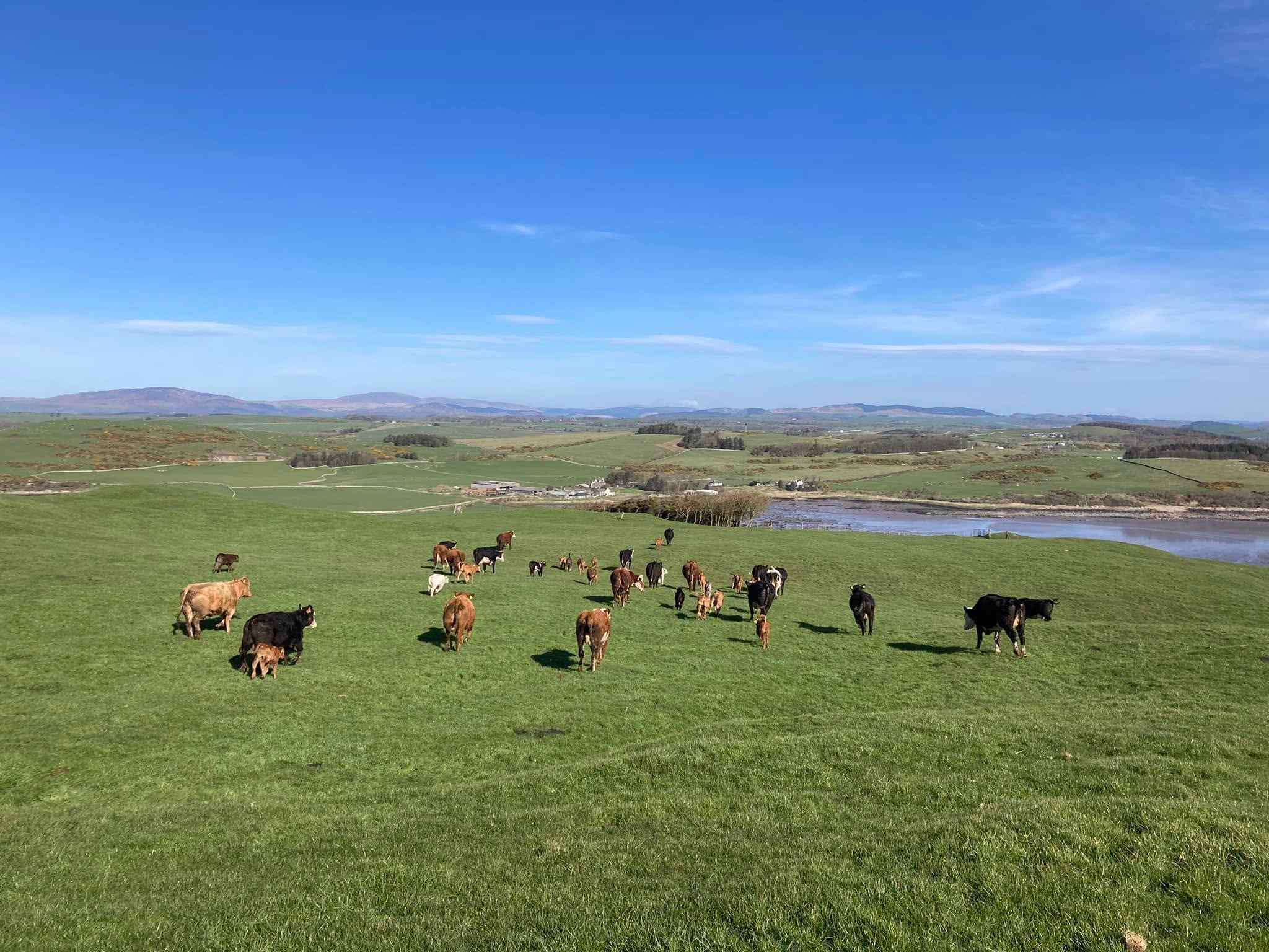Farmland & Bay at Ross Farm - Ross Bay Retreat
